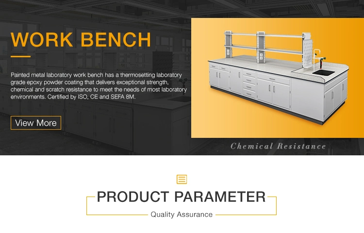 Laboratory Steel Wood Lab Central Bench