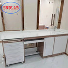 New Design Stainless Steel Frame Epoxy Resin Powder Corrosion Resistance Dental Laboratory Bench Manufacturers