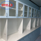 Good Quality China Made Wall Cabinets Chemical Resistance Medical Worktop Suppliers