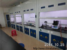 Fiberglass Fume Hood Rubber Adjustable Feet Polymeric Resin Cabinet