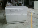 Laboratory Lockable Metal Storage Cabinet Light Weight For Medical / Chemical