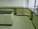 Chemical Lab Cabinet Manufacturer / Lab Wall Work Counter China / Laboratory Counters Price