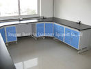 Chemical Lab Cabinet Manufacturer / Lab Wall Work Counter China / Laboratory Counters Price