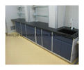 Laboratory Workbench Furniture Double Thick Edge Countertops With Sink And Faucet