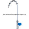 Deck Mounted Laboratory Fittings , Chemical Resistant SS Laboratory Water Faucets