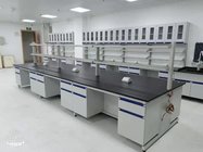 Durable Anti Alkali Chemistry Lab Furniture / Science Lab Benches