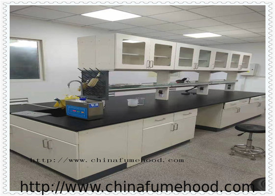 Customized Wall Chemistry Lab Furniture With Reagent Shelf Resistance Acid