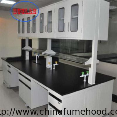 Heat Resistant Laboratory Working Table Lab Casework 3000*1500*850mm