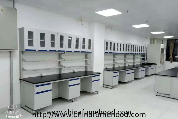 Customized Wall Chemistry Lab Furniture With Reagent Shelf Resistance Acid